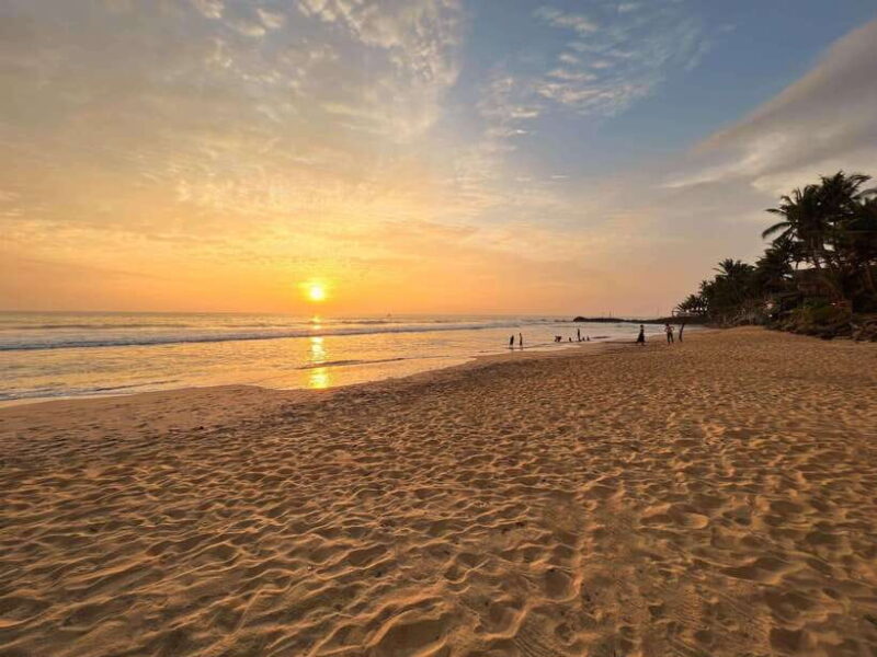 Sri Lanka: 3-Day 2night South Coast Tour with Whale Watching - An Honest Look at the Experience