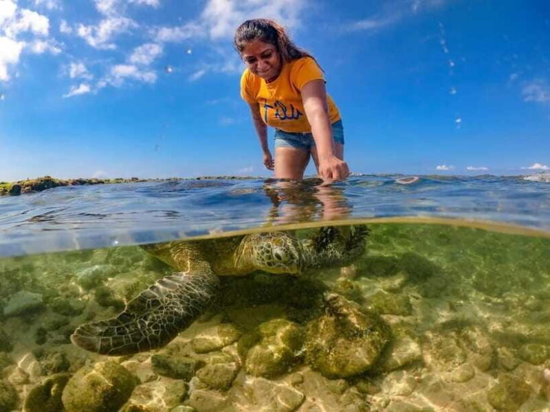 Sri Lanka: 3-Day 2night South Coast Tour with Whale Watching - The Sum Up: Who’s It Perfect For?