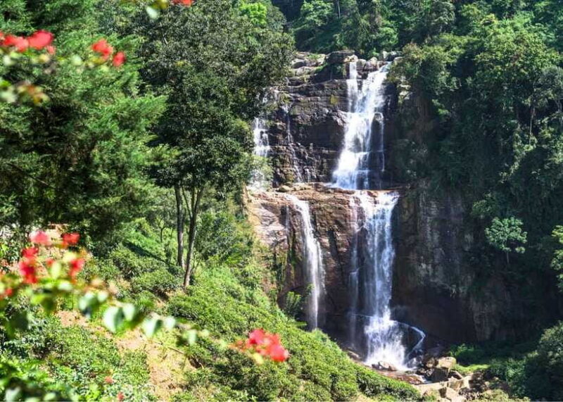 Sri Lanka 3-day Private Tour: Kandy, Nuwara Eliya, Ella - How the Price Reflects the Experience