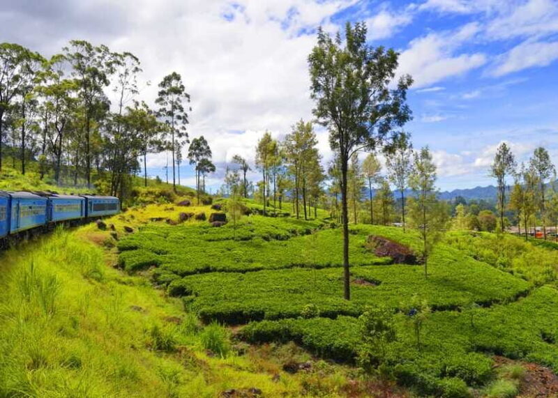 Sri Lanka 3-Day - Sigiriya, Udawalawe, Kandy, Bentota, Ella - An Overview of the Itinerary