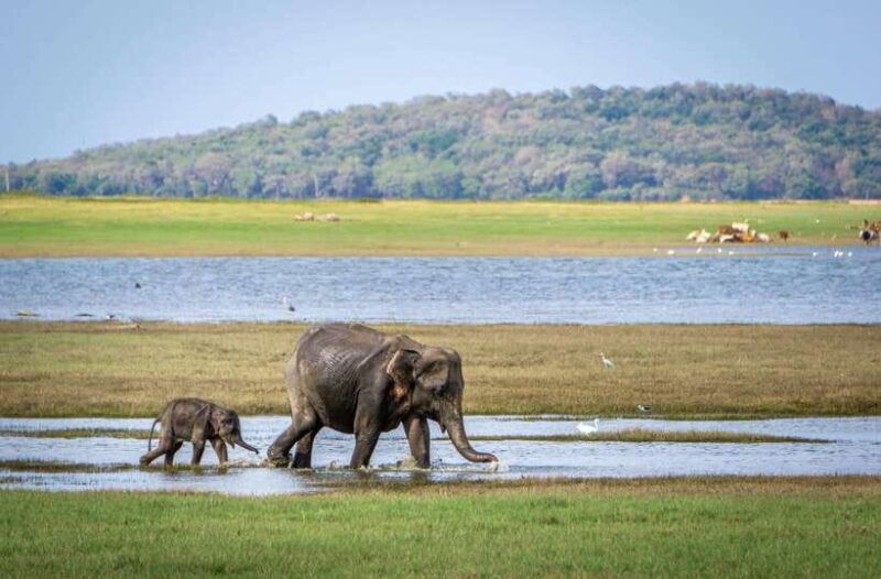 Sri Lanka 3-Day Top Temple Tour To The Cultural Triangle - The Itinerary in Detail