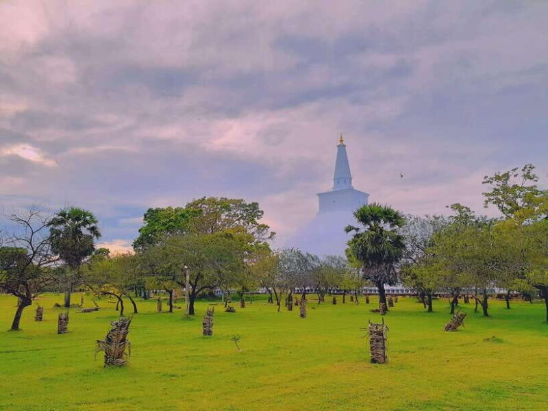 Sri Lanka 3-Day Top Temple Tour To The Cultural Triangle - Who Is This Tour Best For?