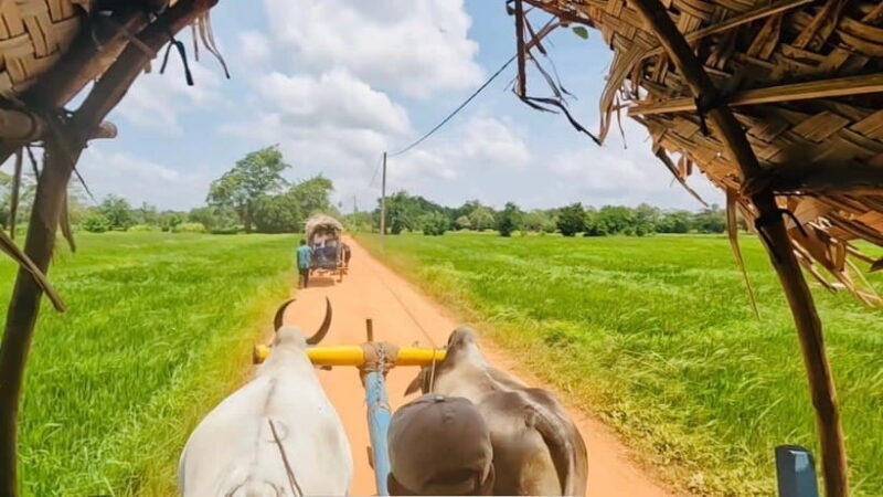 Sri Lanka 3-Day Tour:Explore Sigiriya Kandy and Nuwara Eliya - What We Like and Consider