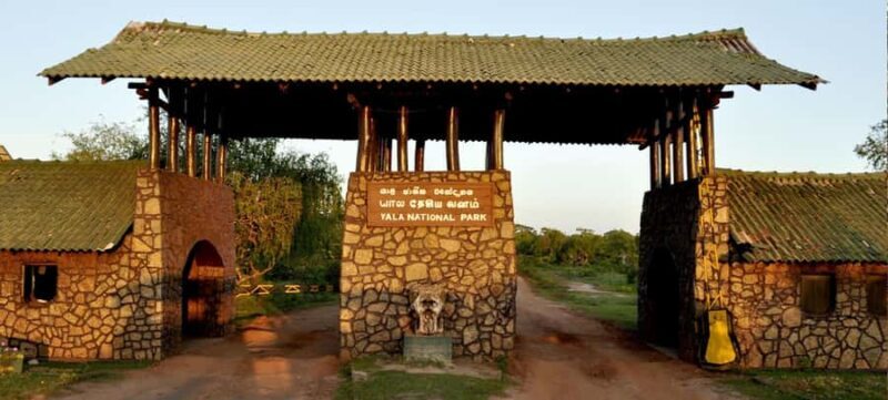 Sri Lanka 3-Day Yala Safari Ella Cultural Highlights - A 3-Day Adventure in Sri Lanka: What to Expect and Why It Matters