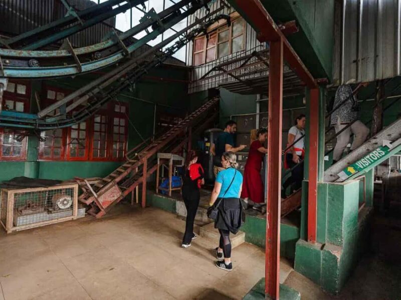 Sri Lanka: 4-Day British Ceylon Tea Trail Tour with Hotels - The Sum Up