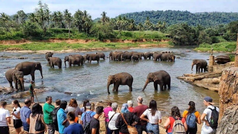 Sri Lanka 4-Day Kandy & Nuwara Eliya Tea & Hill Country Tour - Key Points