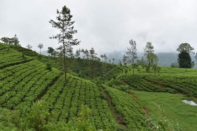 Sri Lanka 4 Day Private Tour - Frequently Asked Questions