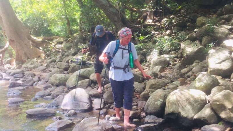 Sri Lanka: 4-day tour Ancient Ruins, Wildlife, Hill Country - Practical Details & What Makes This Tour Stand Out