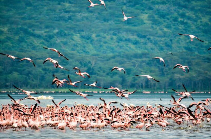 Sri Lanka: 4-day Tour Wildlife and Beach - Key Points