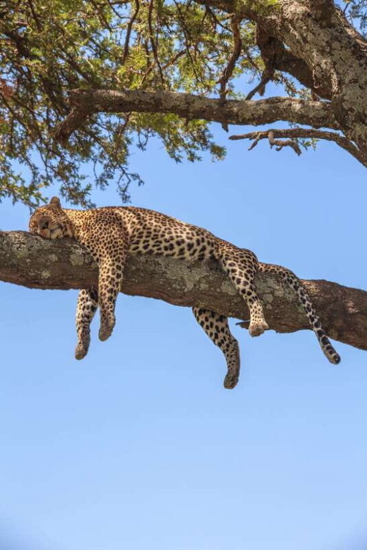 Sri Lanka: 4-day Tour Wildlife and Beach - The Sum Up