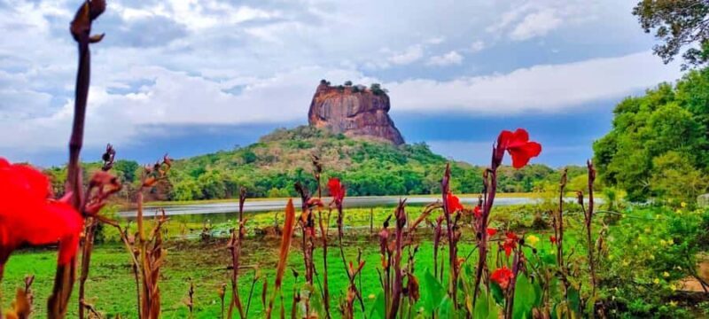 Sri Lanka: 4-Day Wildlife, Culture & Scenic Journey - Discovering Sri Lanka in 4 Days: A Balance of Wildlife, Culture, and Scenic Beauty