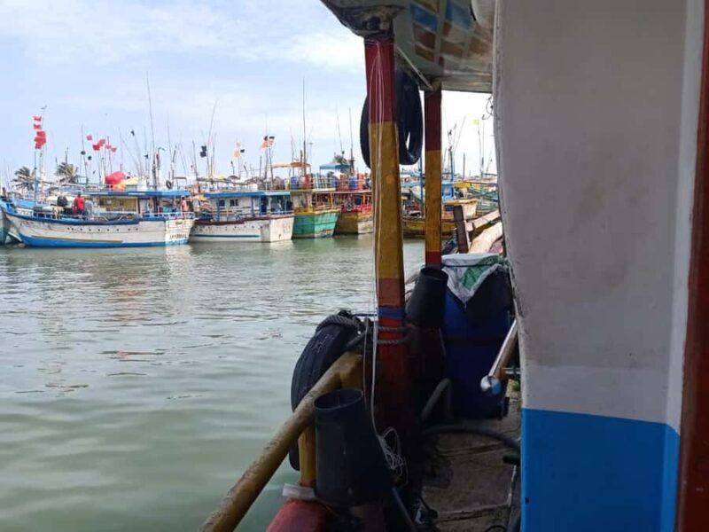 Sri Lanka: 4-Day Wildlife, Culture & Scenic Journey - FAQ