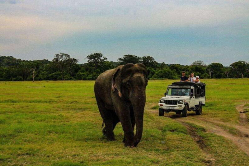 Sri Lanka: 4N5Day guided FULL TOUR with hotel accommodations - Key Points
