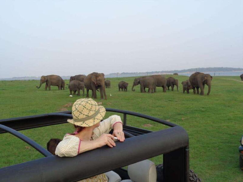 Sri Lanka: 5-Day Cities and Nature Round Tour from Colombo - An Introduction to Sri Lanka’s Highlights in Just Five Days