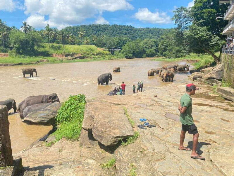 Sri Lanka: 5-Day Cities and Nature Round Tour from Colombo - Who Should Consider This Tour?