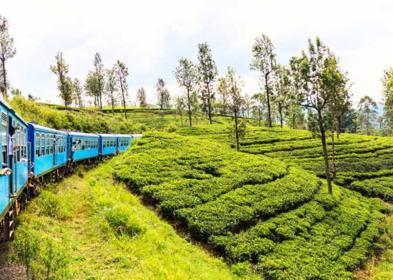 Sri Lanka 5-Day Private Country Side Tour Car, Hotels, Food - Discover the Charm of Sri Lanka in Just 5 Days