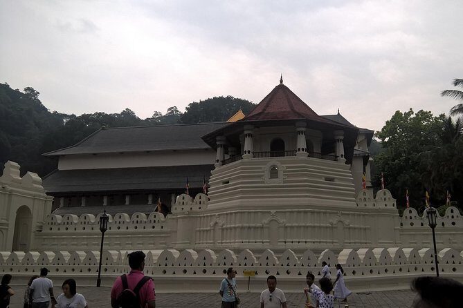 Sri Lanka 5 Day Privet Tour - Discovering the Highlights of Sri Lanka in 5 Days