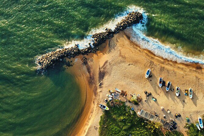 Sri Lanka 5 Day tour Best Nature and Culture include top hotels - A Deep Dive into the Itinerary