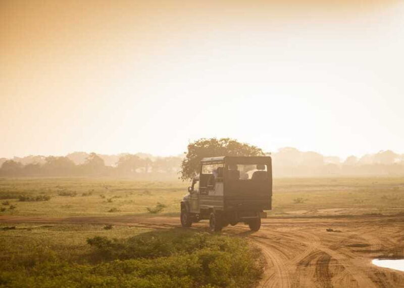 Sri Lanka: 5-Day Tour with Hill Country, Cultural Triangle - Key Points