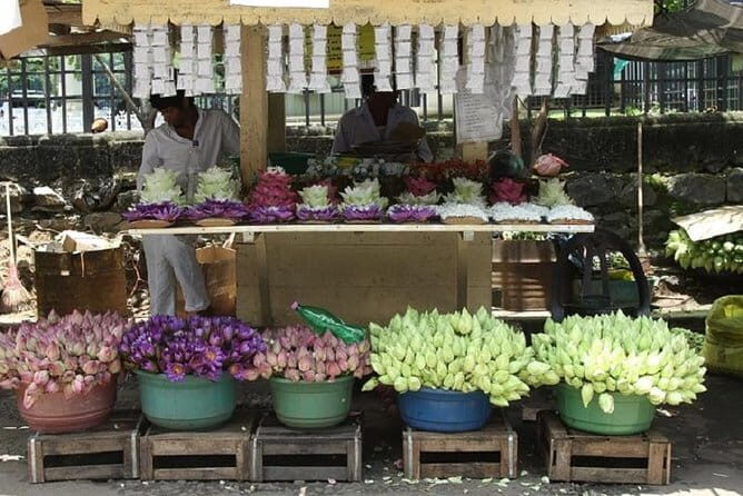 Sri-Lanka - 5 Days Private Tour of Luxurious - Key Points