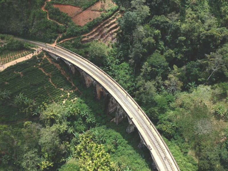 Sri Lanka 5 Days Private Tour with 15 Scenic Places - A Close Look at the 5-Day Itinerary and What to Expect