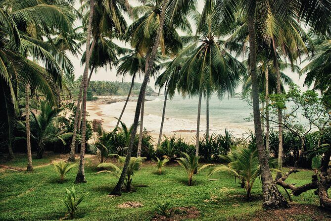 Sri Lanka 5 Days Tour - FAQ