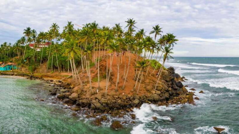 Sri Lanka: 6-Day Luxury Honeymoon Tour - The Price and Its Value