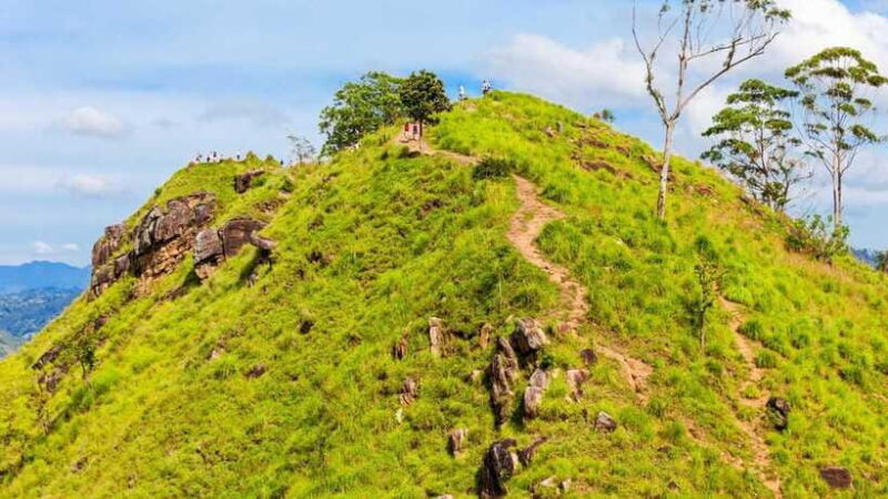 Sri Lanka: 6-Day Luxury Honeymoon Tour - The Sum Up