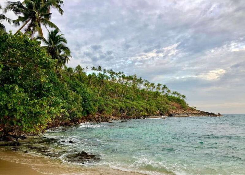 Sri Lanka: 6-Day Wildlife Safari Private Tour - The Details of the 6-Day Sri Lanka Safari Adventure