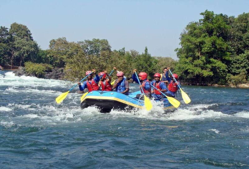 Sri Lanka: 6-Day Wildlife Safari Private Tour - Day 2: From Jungle to Tea Hills and Adventure Sports