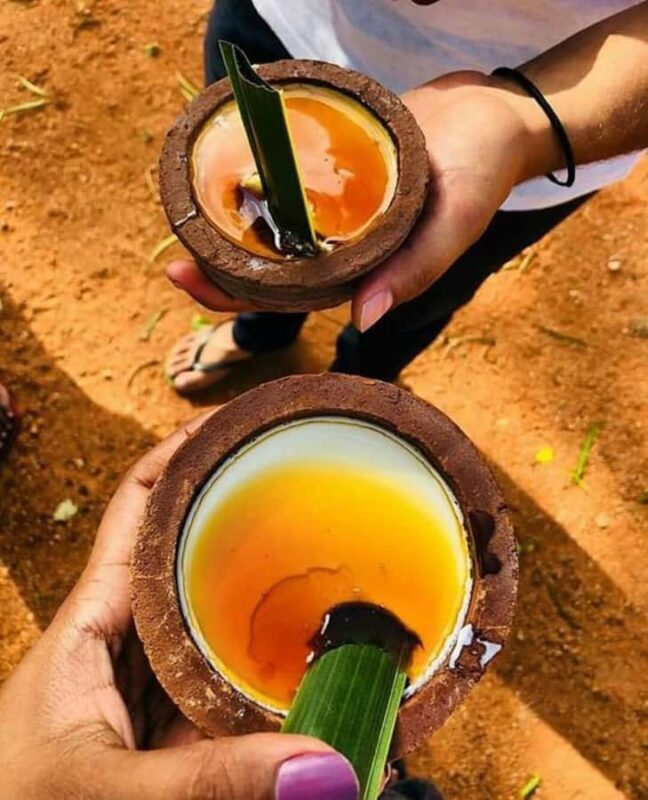 Sri Lanka 6 Days Private Tour with 3 star Hotels HB and Car - A Deep Dive into the 6-Day Sri Lanka Tour