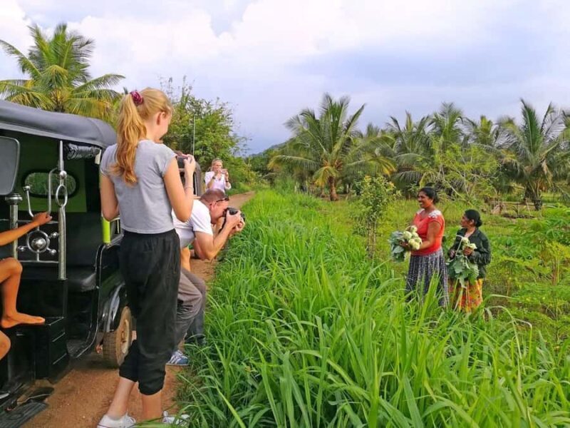 Sri Lanka 6 Days Private Tour with 3 star Hotels HB and Car - Who is this Tour Best For?