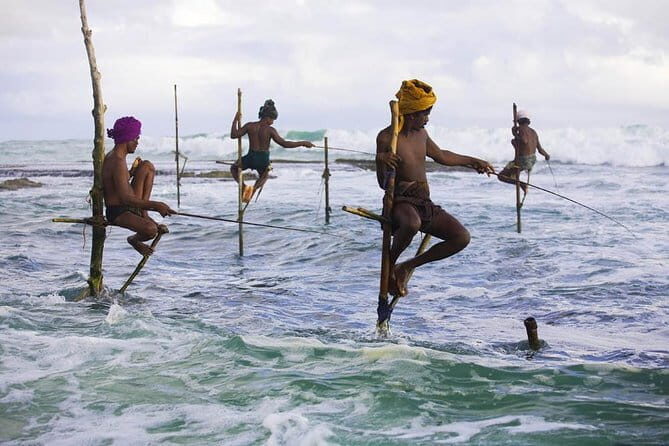 Sri Lanka 7 Day Tour | All Inclusive - An Overview of the Tour Experience