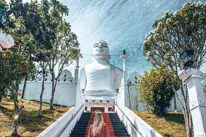 Sri Lanka 7 Day Tour | All Inclusive - Who Should Consider This Tour?