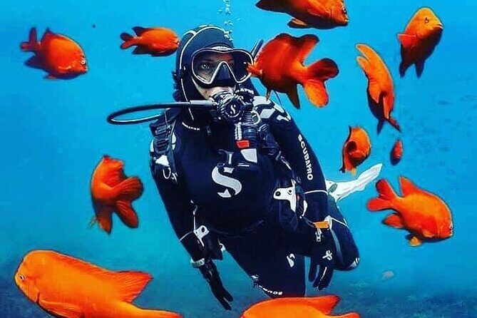 Sri Lanka 7 days budget tour package - A Deep Dive into the 7-Day Sri Lanka Tour