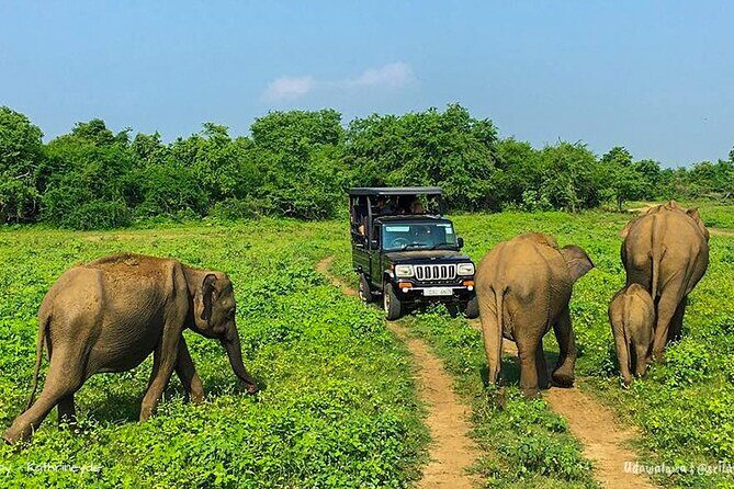 Sri Lanka 8 days Tours with Privet Vehicle & Accommodations (B/B) - Final Thoughts