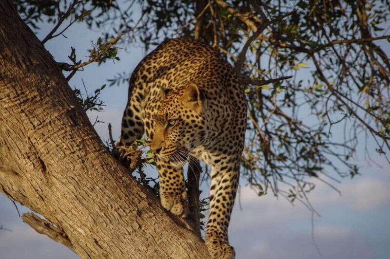 Sri Lanka: 9-Day Private Round Tour With H/B Accommodation - Who Will Love This Tour?