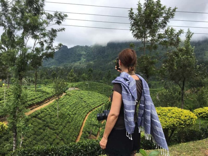 Sri Lanka 9 Day Private Tour by The Visit Lanka Tours - A Detailed Look at the 9-Day Itinerary