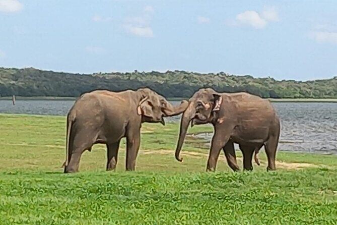 Sri Lanka Adventure Tour Jeep Safaris and Village Experience - Key Points