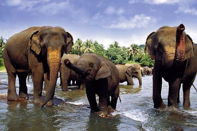 Sri Lanka at a Glance ( 09 N/ 10D) - Key Points