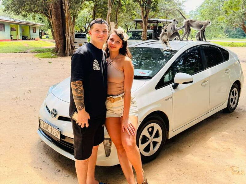 Sri Lanka Car Rental with Driver - 3 Days Minimum, 180km/Day - Key Points