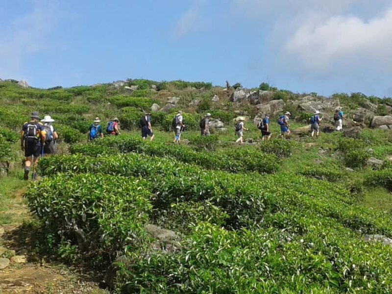 Sri Lanka: Ceylon Royal Tea Trails Trekking Tour - Frequently Asked Questions