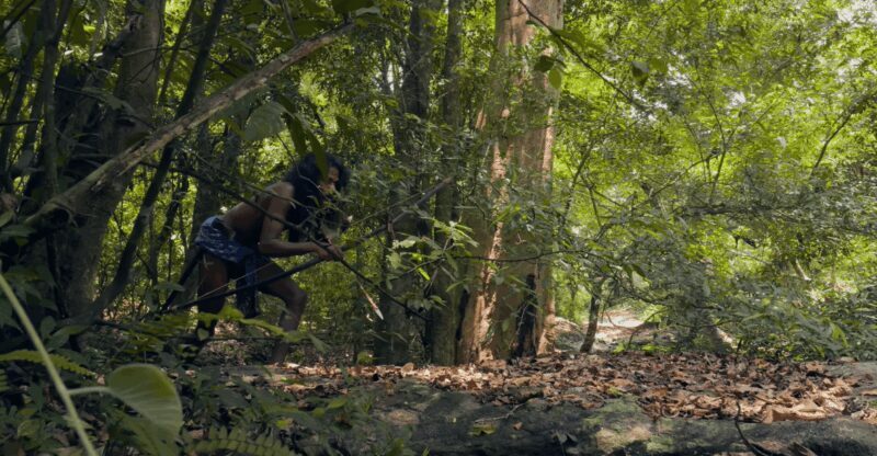 Sri Lanka cultural triangle, hill country and aborigines - The Sum Up