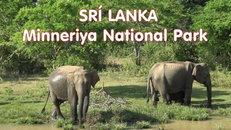 Sri Lanka Culture Triangle: 4-Day Journey with 3 Nights Stay - Who Would Love This Tour?