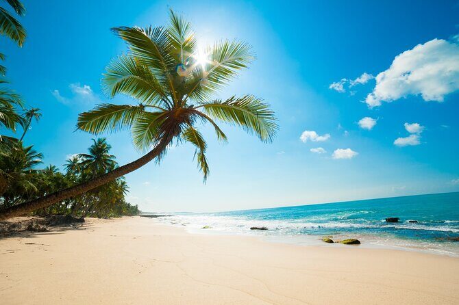 Sri Lanka Experience - 12 Days Private Tour - Key Points