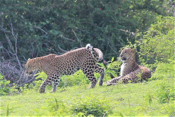 SRI LANKA EXPERIENCES- 12 Nights/13 Days Tour - Final Thoughts