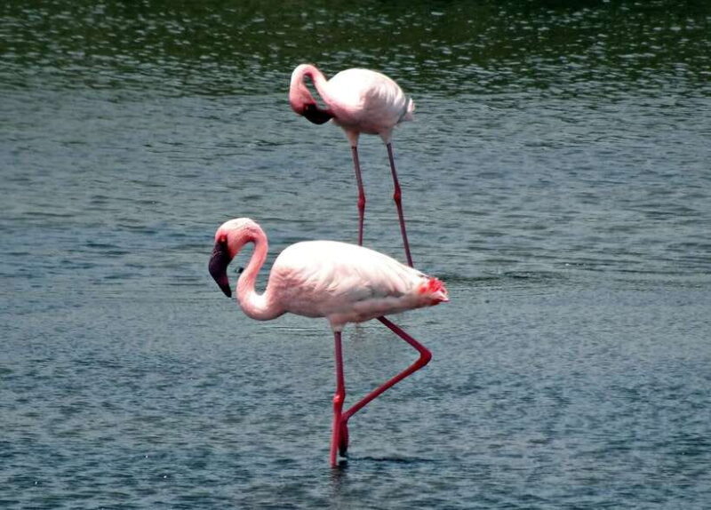Sri Lanka Green Bless- 2-day Private Trip To Enjoy Nature - Who Is This Tour Perfect For?