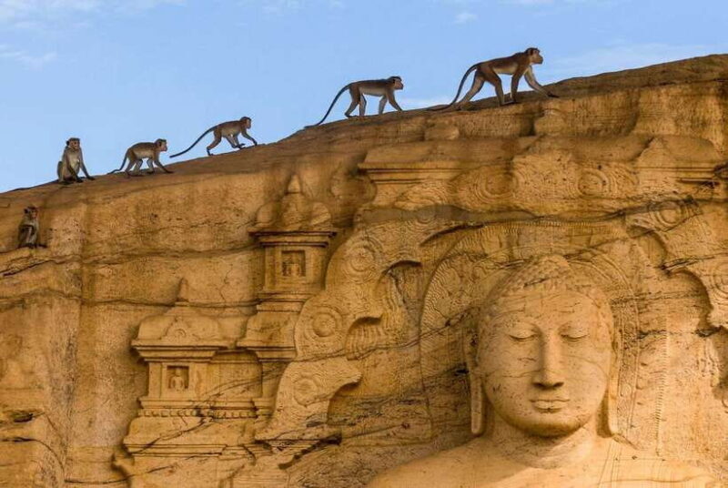 Sri Lanka Heritage Sites: 6-Day Private Guided Tour - Key Points