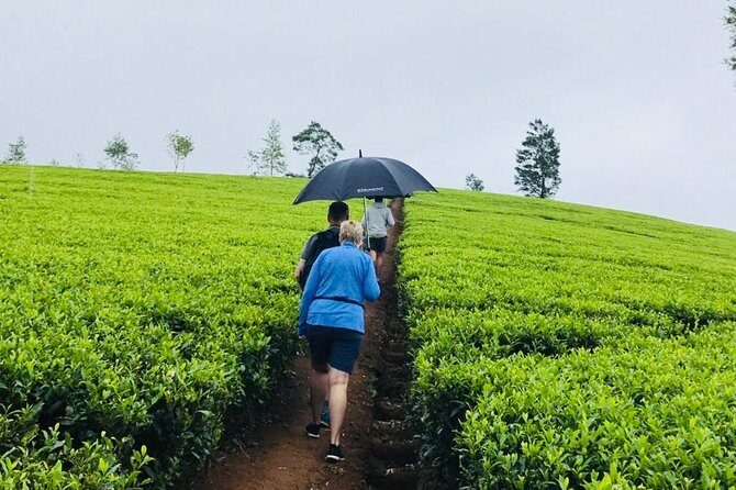 Sri Lanka highlights in 6 days - FAQs