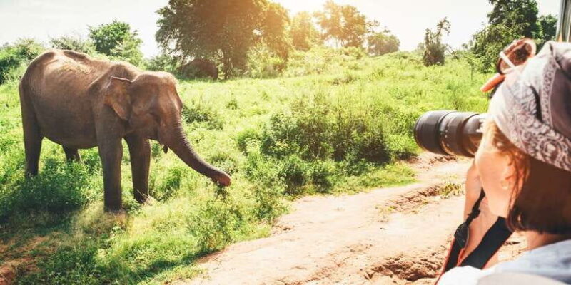 Sri Lanka hill country bless Kandy, Nuwara eliya and Ella - A Detailed Look at the Sri Lanka Hill Country Tour